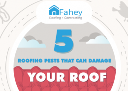 Fahey Roofing + Contracting | Roofs, Siding, Decks, Gutters & More